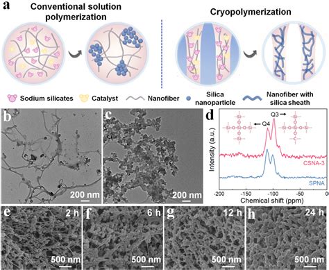 Comparison Of The Silica Nanocomposite Aerogels With Different Download Scientific Diagram