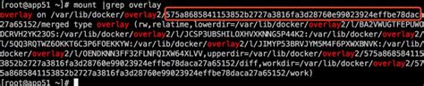 docker镜像存储overlayfs的使用 服务器 亿速云
