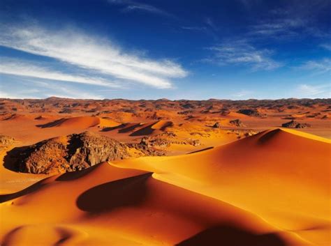 Sahara African Nature
