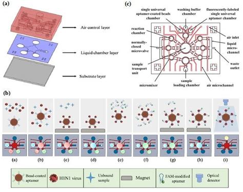 Integrated Microfluidic Chip System Using A Sandwich Aptamer A The Download Scientific