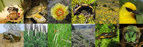 Ecosystems Mission Area Collage Part 2 Us Geological Survey
