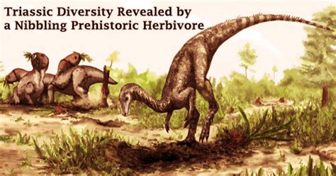 Triassic Diversity Revealed By A Nibbling Prehistoric Herbivore