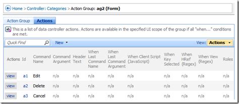 Code On Time Development Project Designer Action Groups