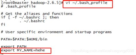 Linux添加临时或者永久环境变量linux 脚本 临时添加环境变量 Csdn博客 Linux添加临时或者永久环境变量linux 脚本 临时添加环境变量 Csdn博客
