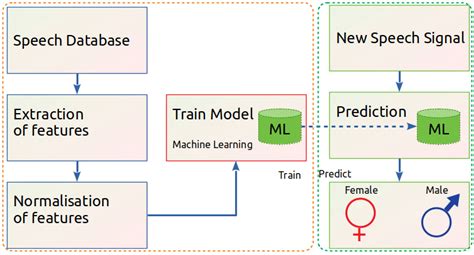Design Of A Gender Identification System Download Scientific Diagram