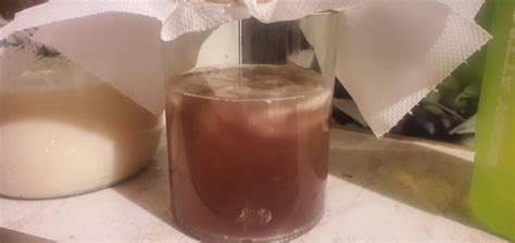My Milk Kefir Produced A Scoby R Fermentation