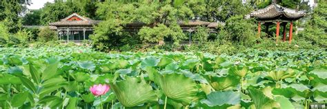 主页 Ailab