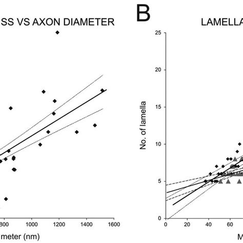 A Graph Showing The Relationship Between Axon Diameter And Myelin