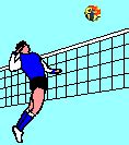 Volleyball 015 At Animated