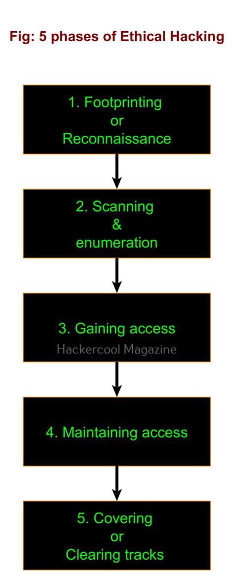 What Is Ethical Hacking What Are Its 5 Phases And More
