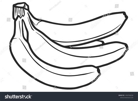 Banana Images Clipart Black And White At Eliza Michaud Blog