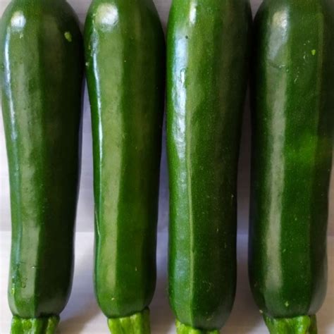 Jual Cukini Berat 1kg Shopee Indonesia