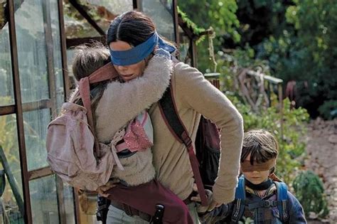Netflix Pidió Que La Gente Deje De Hacer El Birdboxchallenge El Nuevo