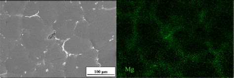 Sem Eds Element Distribution Of Alloy Surface With 0 4 Wt Sc Addition Download Scientific
