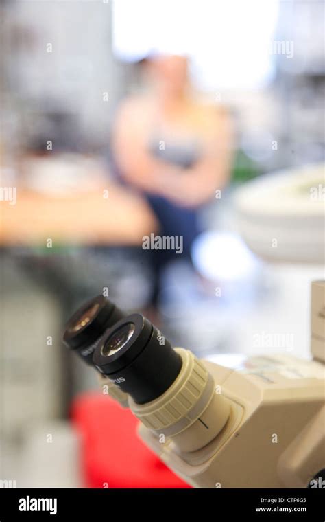 Research Laboratory Optical Microscope Selective Focus On Microscope