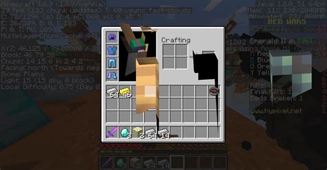 Does Anyone Know How To Fix This Minecraftbugs
