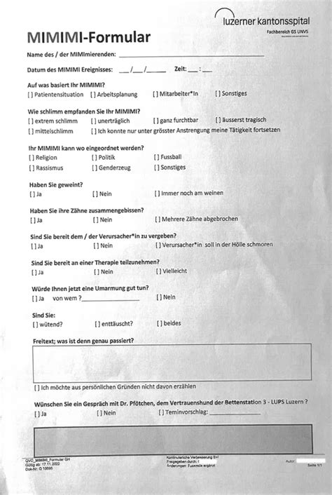 In Luzerner Kantonsspital Kursiert «mimimi Formular Personal Verletzt