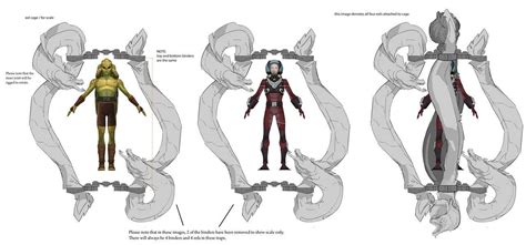 Much To Learn You Still Have 10 Things You Might Not Know About Mon