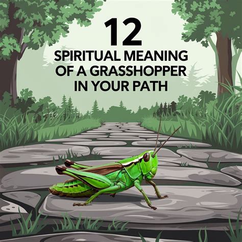 12 Spiritual Meanings Of A Grasshopper In Your Path