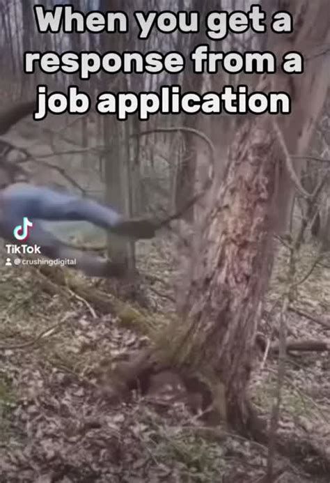 David Roberts On Linkedin Jobseeker Developer