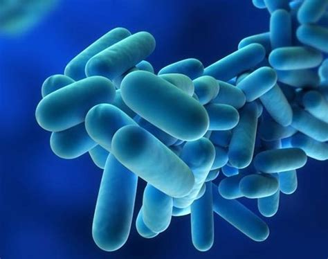 Legionella Management E Learning Millhouse Training