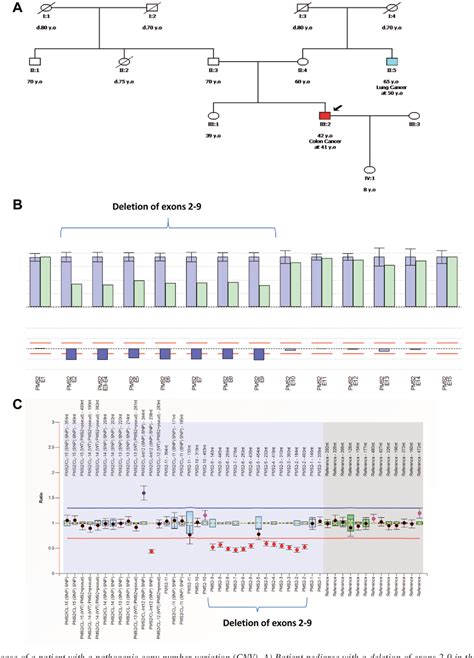 Figure 4 From Copy Number Variations Cnvs Account For 10 8 Of Pathogenic Variants In Patients