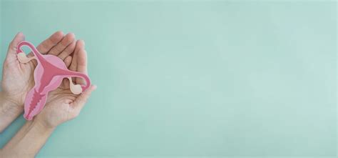 Egg White Cervical Mucus Vs Sperm Egg White Cervical Mucus Vs Sperm