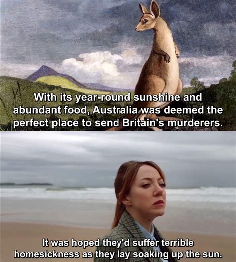 Cunk Dump Album On Imgur