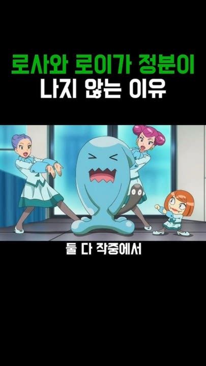 포켓몬로사 로이가 정분이 안나는 이유 Youtube