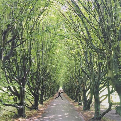 Iphone Photographer Of The Month Karen Vikke Mobile Fun Blog