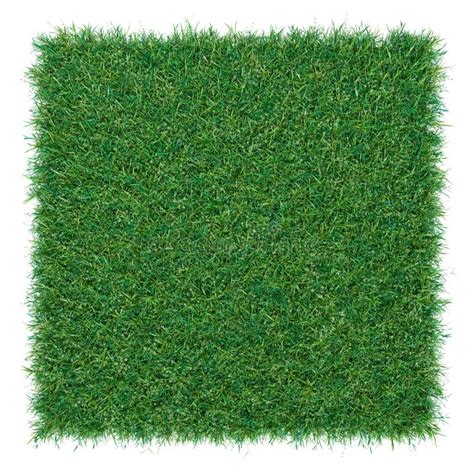 Piece Of Rectangle Shape Grass Isolated As Background Stock