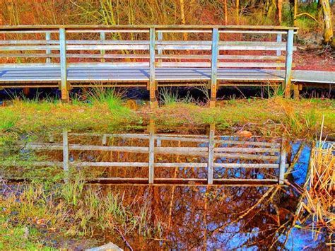 Premium Photo Plants In Grass