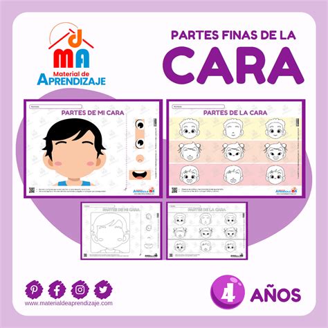 Partes De La Cara Para Ninos Partes De La Cara Para Niños