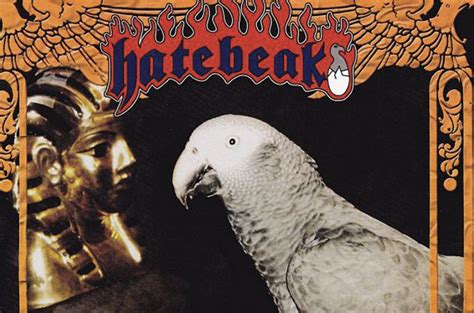 Parrot Metal Band Hatebeak Is Back With New Album