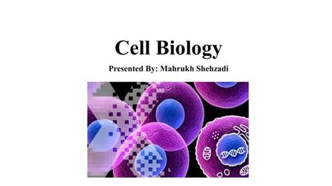 Prokaryotes And Eukaryotes Powerpoint Ppt