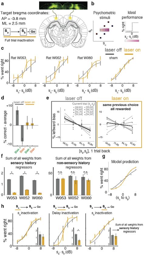 Pdf Posterior Parietal Cortex Represents Sensory Stimulus History And