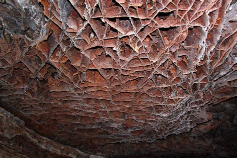 Wind Cave National Park Parkcation