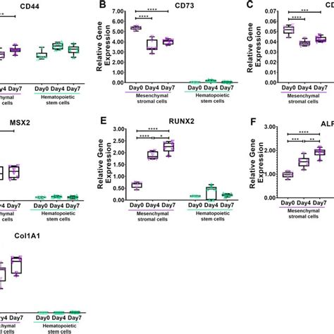 The Induction Of Osteogenic Differentiation Of Mesenchymal Stromal