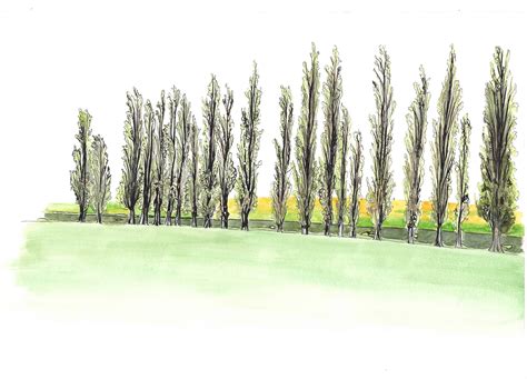 Footpath Map The Crondall Society