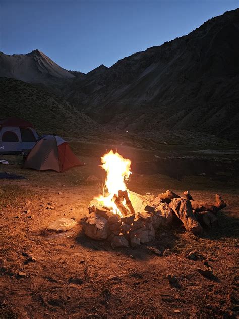 Alexander Dudec Pinzas Sasha Dudec Twitter