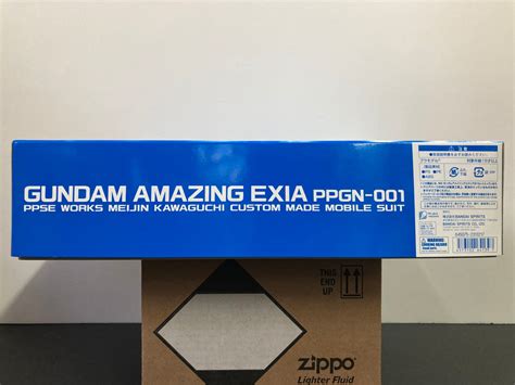 Mg 1100 Gundam Amazing Exia Ppgn 001 Ppse Works Meijin Kawaguchi Cust