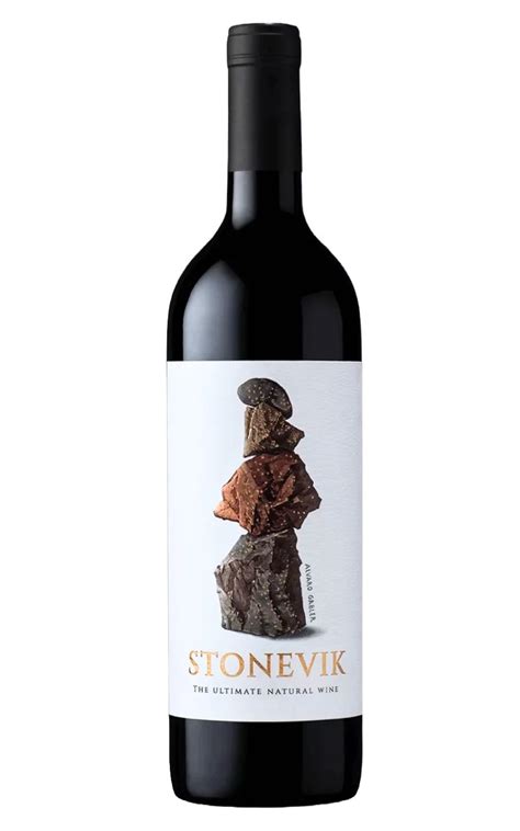 Viña Vik Stonevik 2023 Winedirect