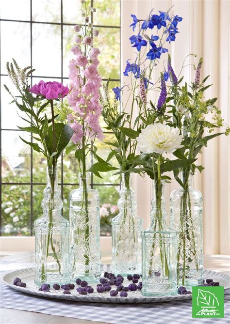 Fresh Cut Flowers From Your Own Garden