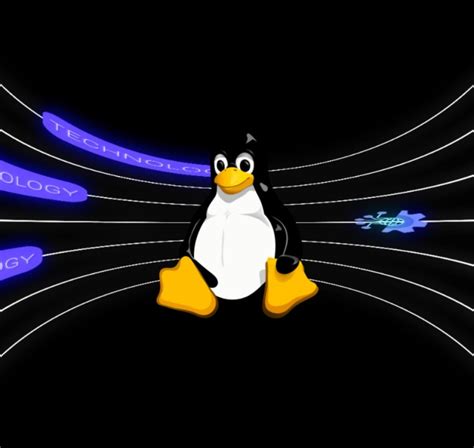 Ahmed Magdi On Linkedin Motiondesign Portfoliobuilding