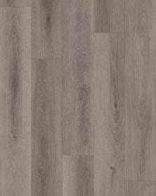 Browse Laminate Lions Floor