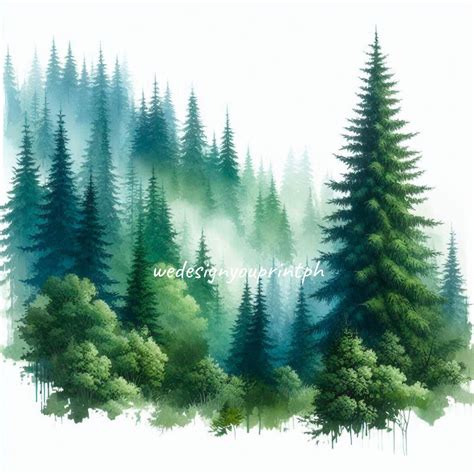 10 Misty Pine Tree Forest Clipart  Water Color Evergreen Woodland