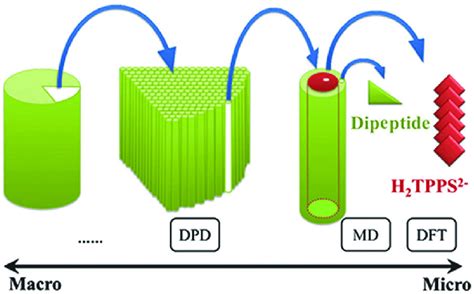 Schematic Of The Theoretical Model For The Hierarchical Selfassembly Of Download Scientific