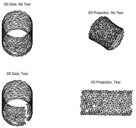 Two Dimensional Projection Of The Cylinder Of Fig 3 Using Sammons