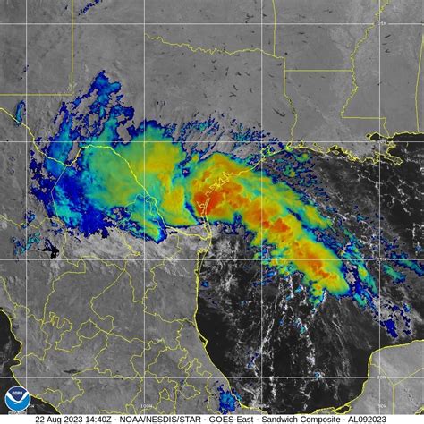 Nicole Basham Mlt I Mla I Posted On Linkedin