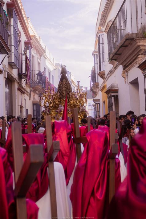 Dulce Nombre Marchena 2023 Francisco González Solemnity
